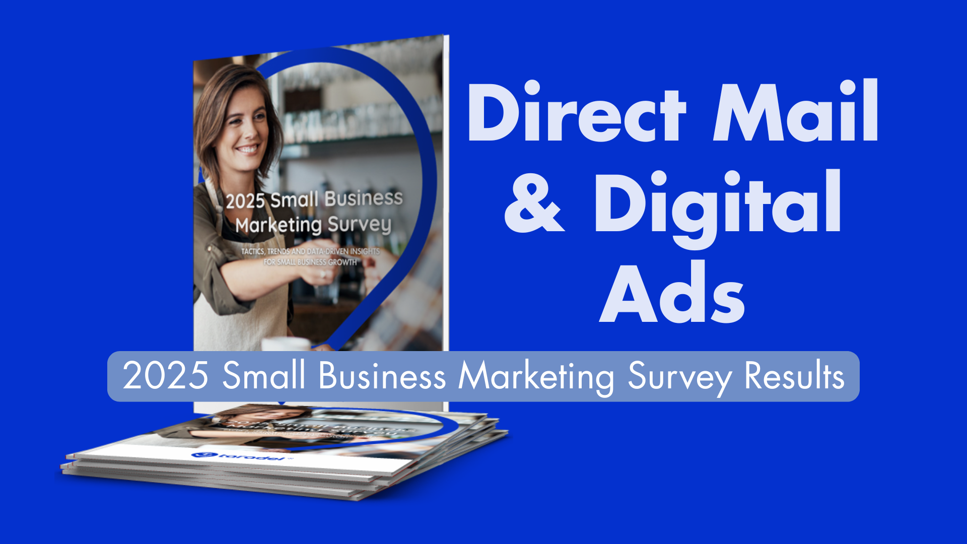 [VIDEO] Direct Mail & Digital Ads for Small Businesses | 2025 Survey ...